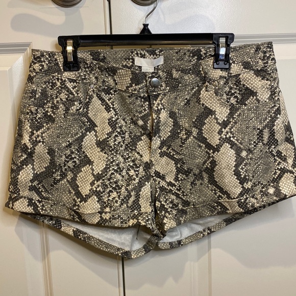H&M | Shorts | Snake Print Shorts | Poshmark